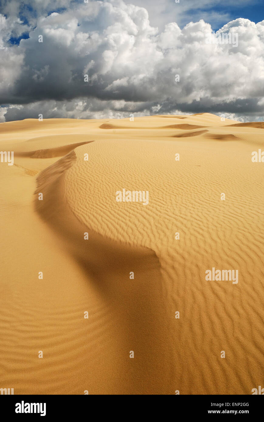 Yellow soft sand dunes in desert with sand patterns and lines and ...