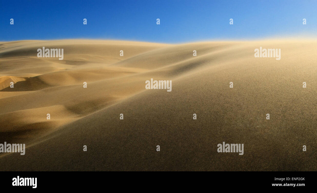 High wind in desert with lots of sand in the air Stock Photo - Alamy