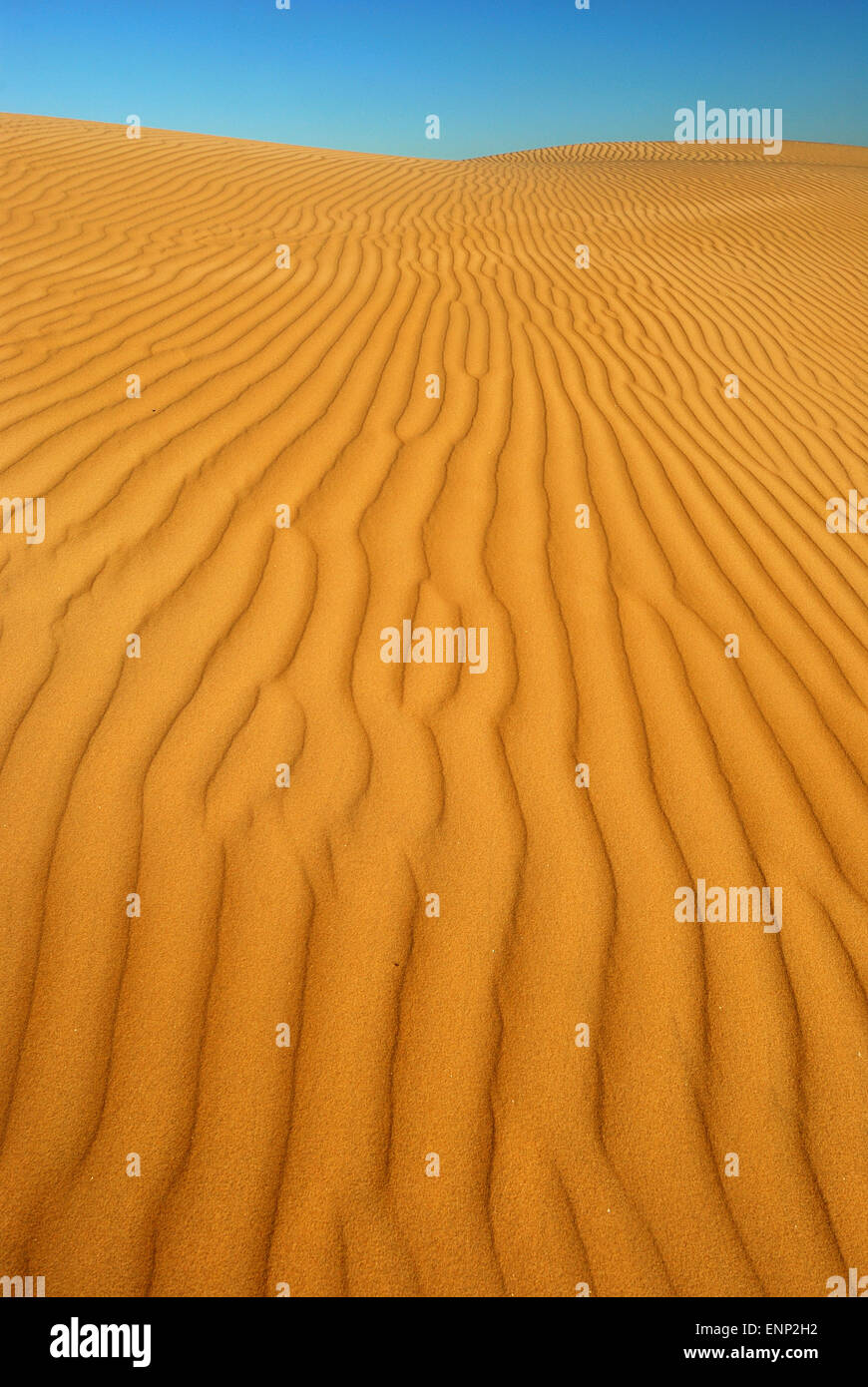 Sand desert plain hi-res stock photography and images - Alamy