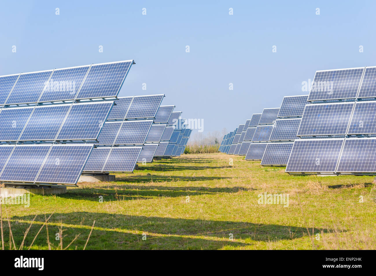 Solar panels to produce energy in an environmentally friendly manner ...