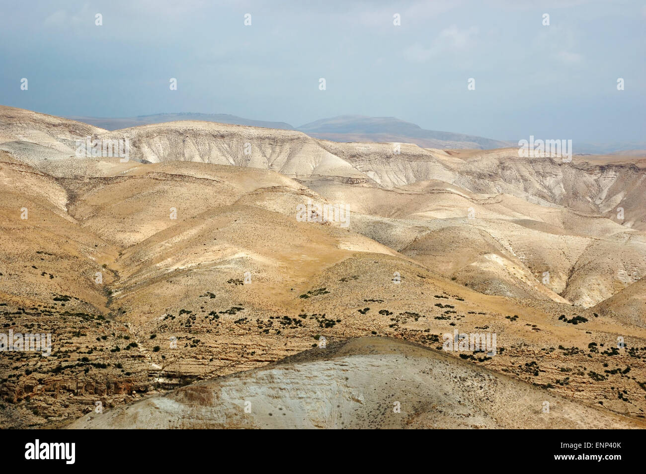 Arava desert hi-res stock photography and images - Alamy