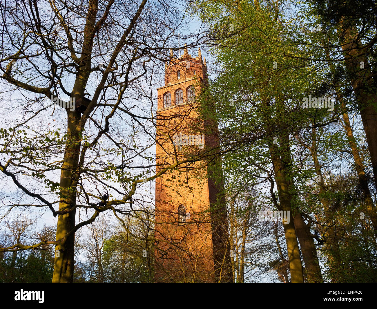 Faringdon Folly Tower High Resolution Stock Photography and Images - Alamy