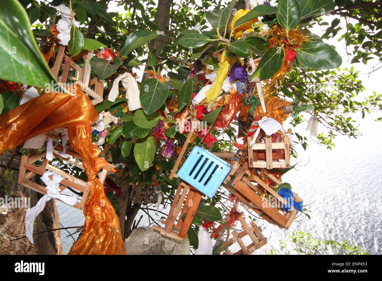 Tree at Swami Rock on which families trying for a baby have hung ...