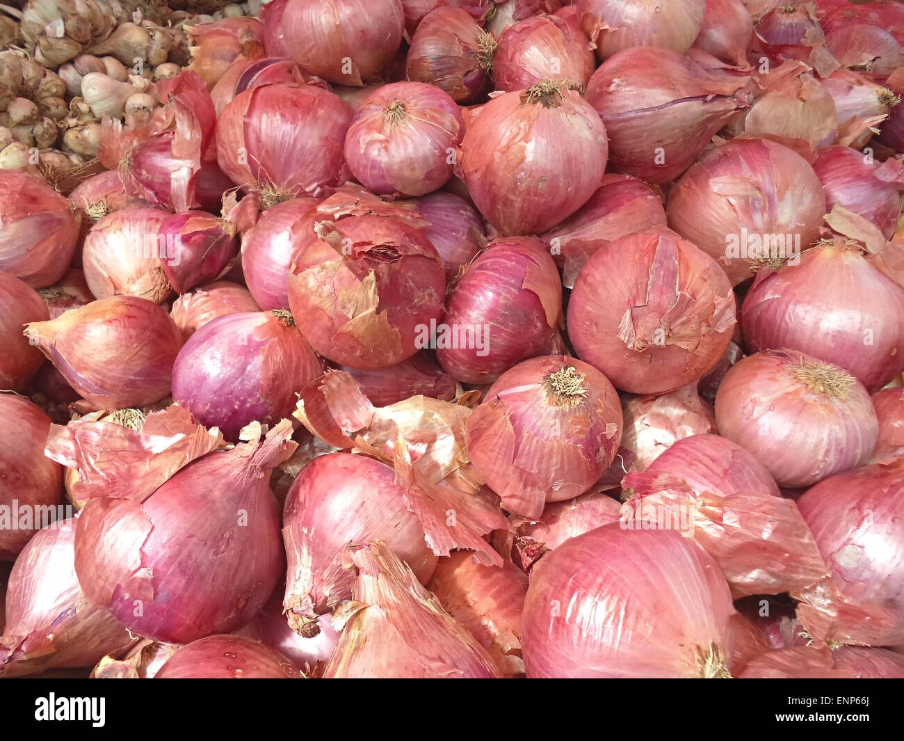 Long spring onion hi-res stock photography and images - Alamy