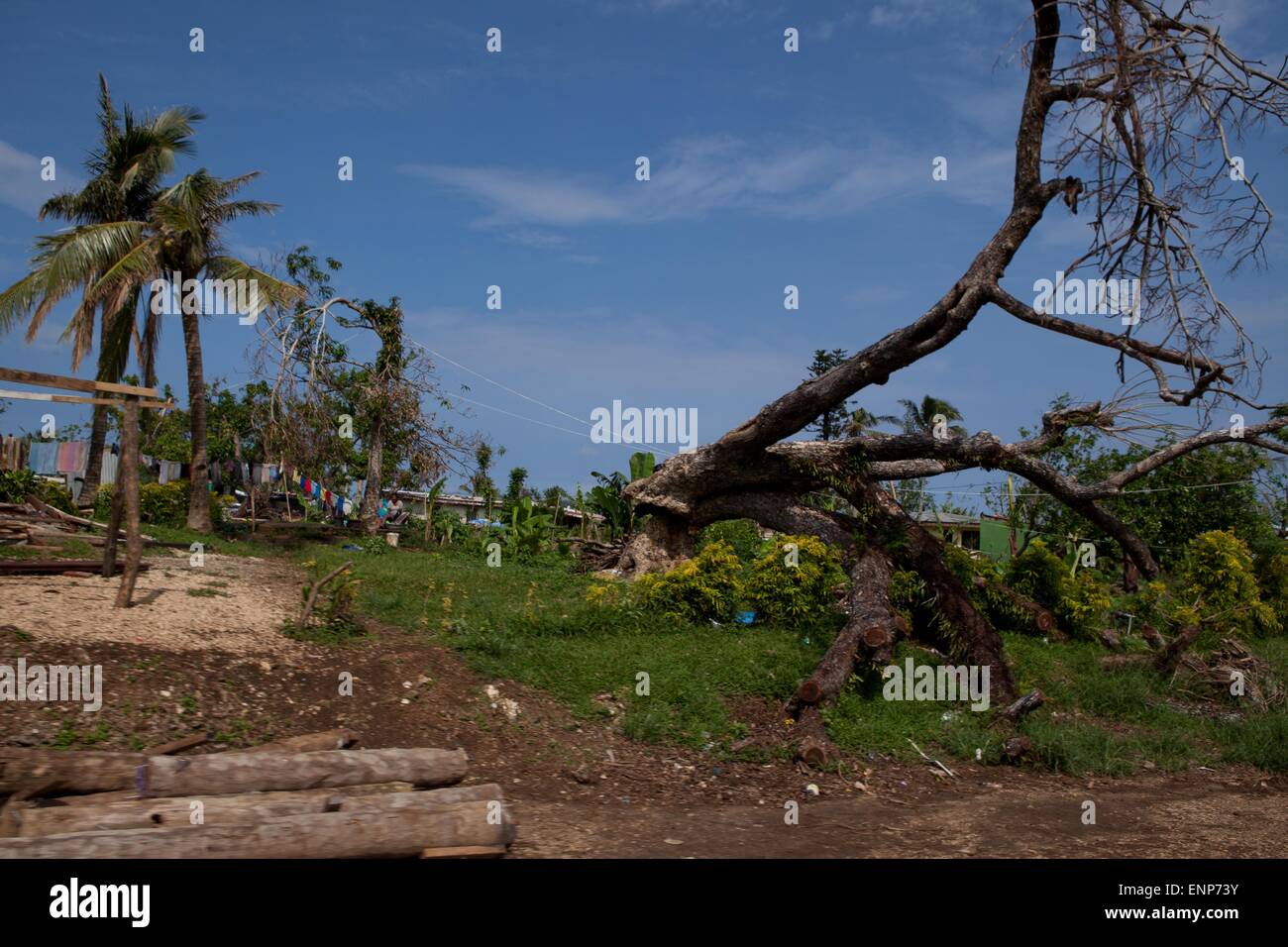 Vanuatu, Port Vila, the capital, 2 months after PAM cyclone, aftermath ...