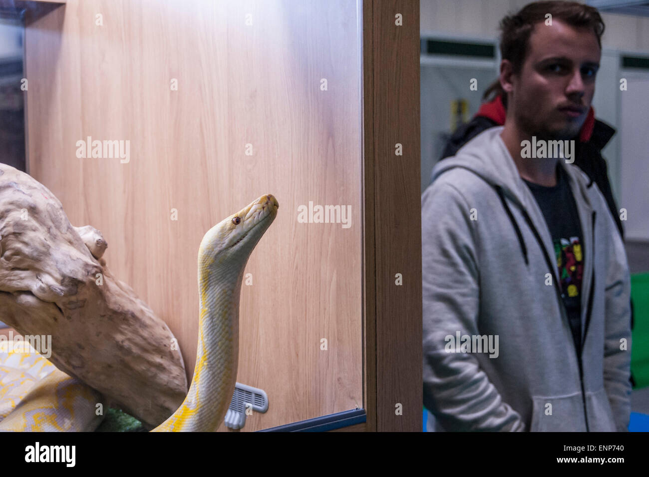 Pet snake tank hi-res stock photography and images - Alamy