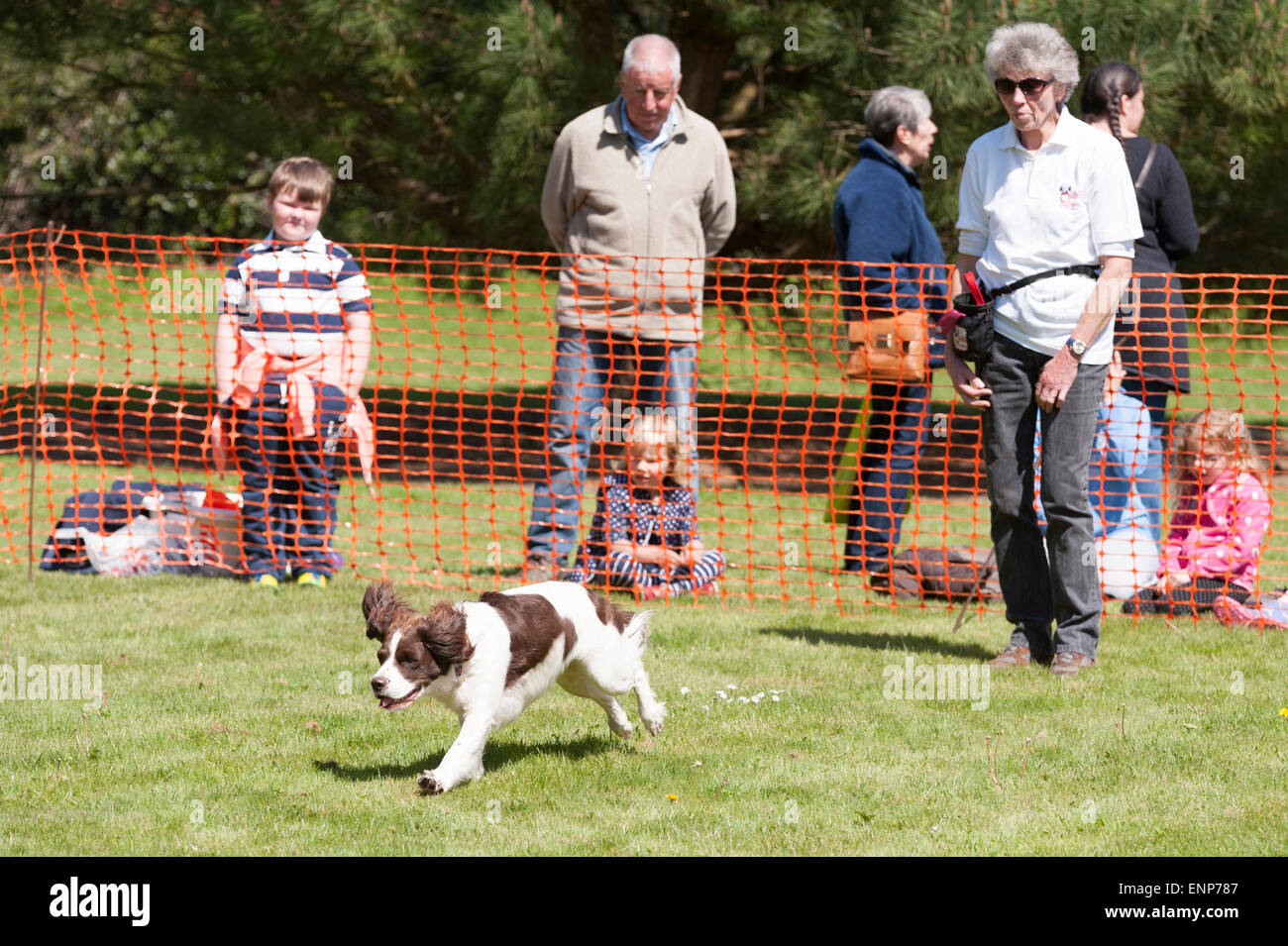 Dog scarecrow hi-res stock photography and images - Alamy
