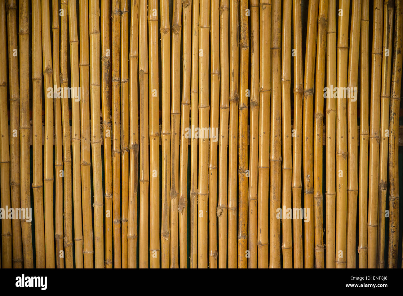 bamboo fence background Stock Photo - Alamy