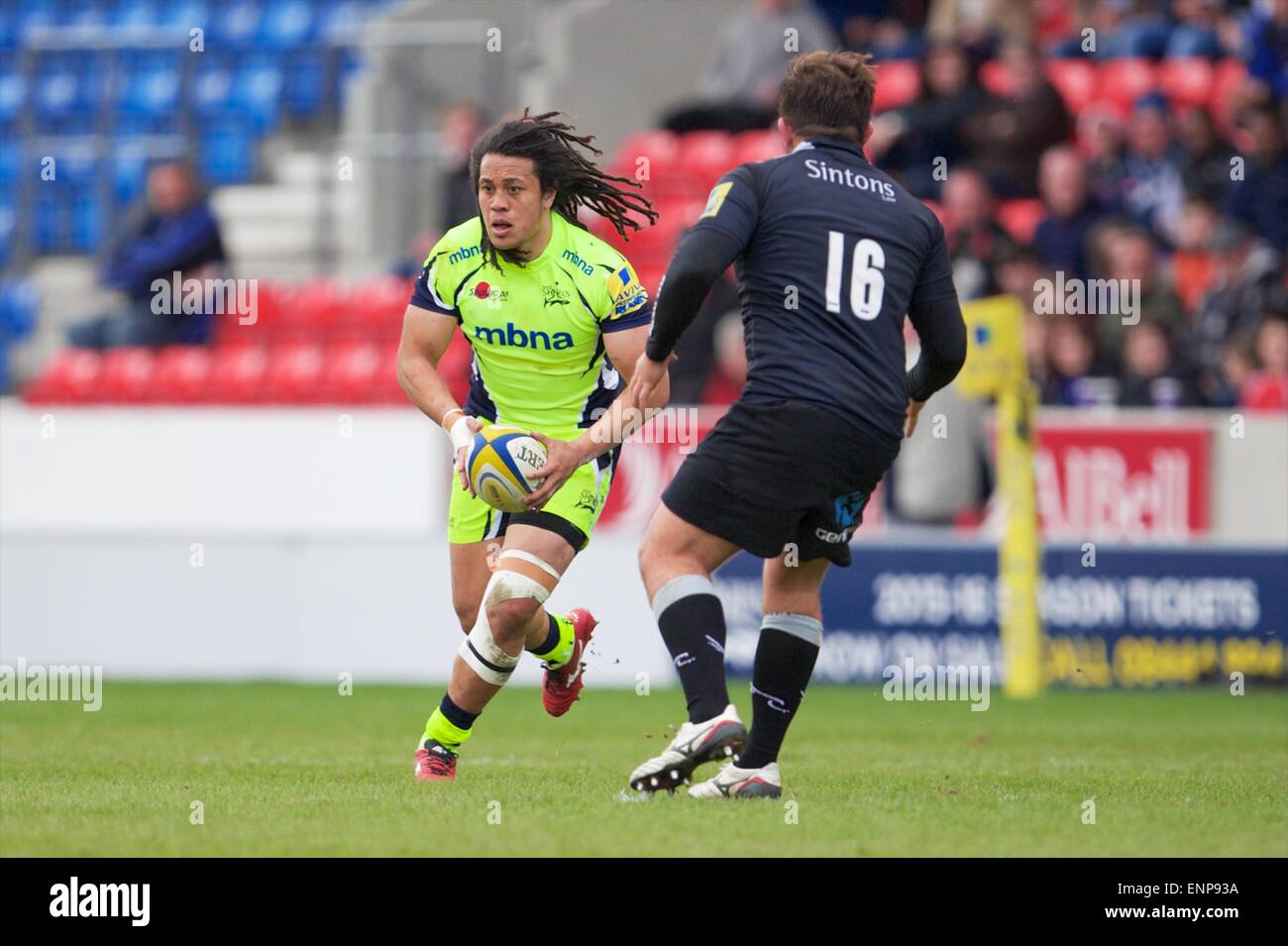 Sale sharks tj ioane hi-res stock photography and images - Alamy