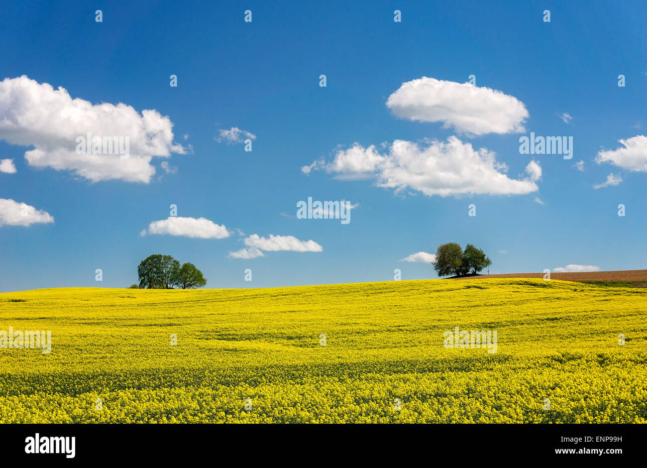 German agriculture hi-res stock photography and images - Alamy