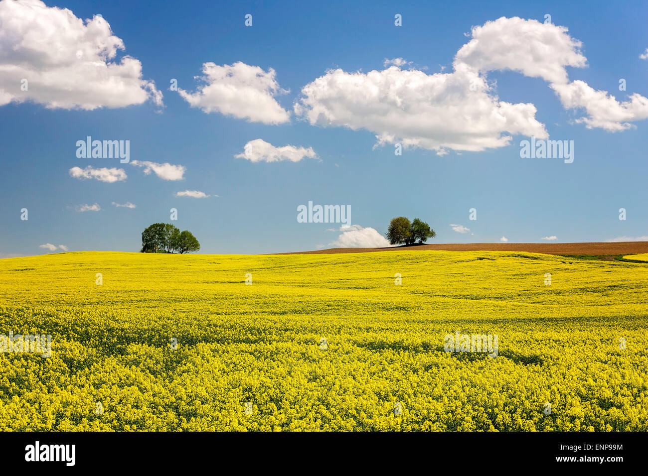 German agriculture hi-res stock photography and images - Alamy