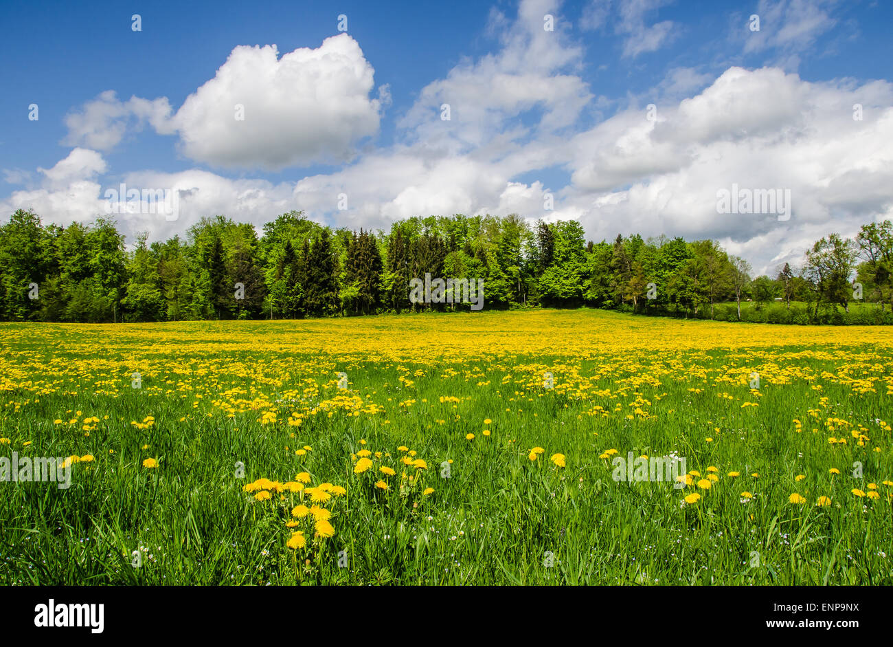 Spring day in bavaria hi-res stock photography and images - Alamy