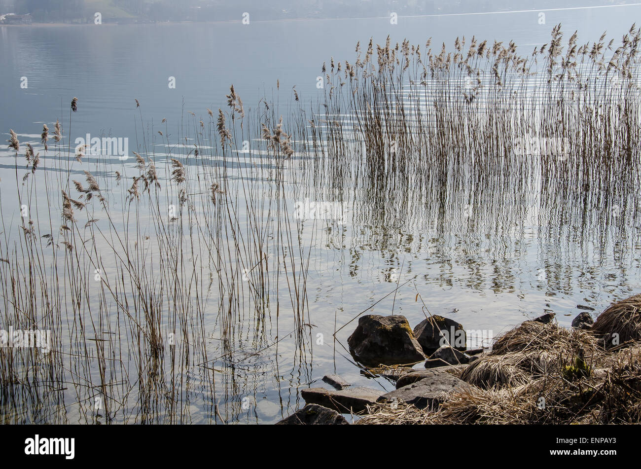 Almost barren hi-res stock photography and images - Alamy