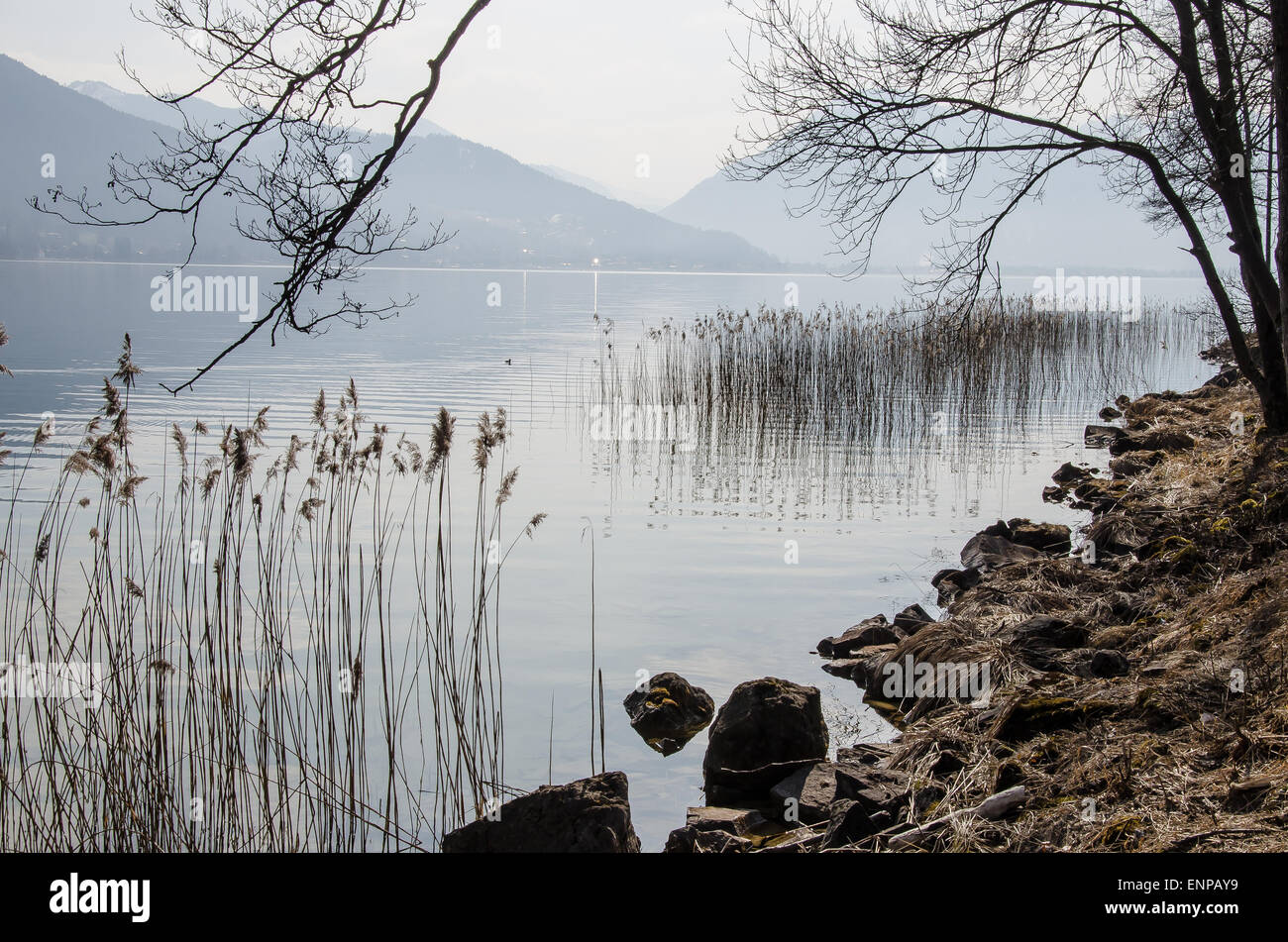 Almost barren hi-res stock photography and images - Alamy