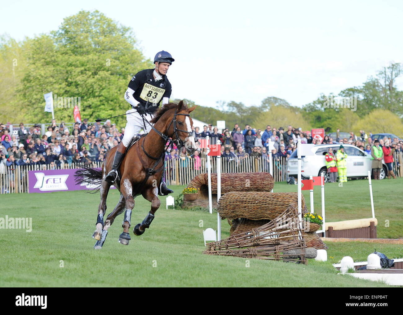 Chilli morning horse hi-res stock photography and images - Alamy