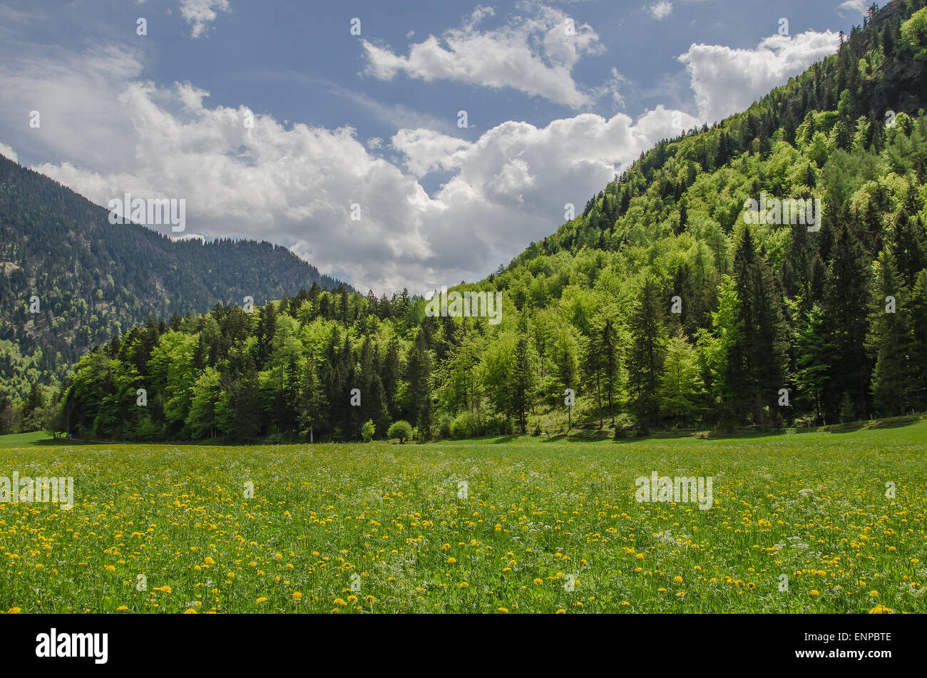 Springtime in the Bavarian Alps Stock Photo - Alamy