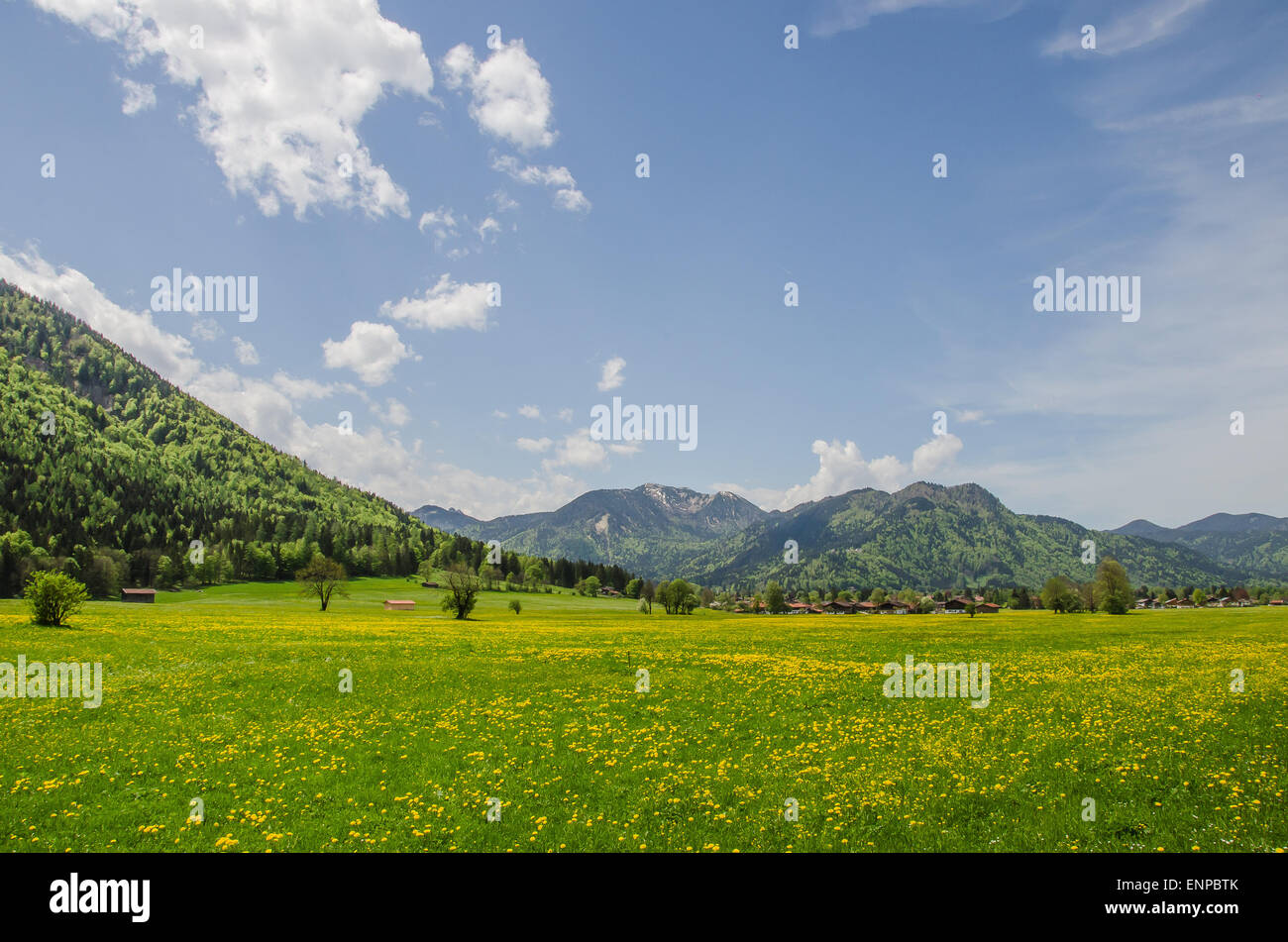 Springtime in the Bavarian Alps Stock Photo - Alamy