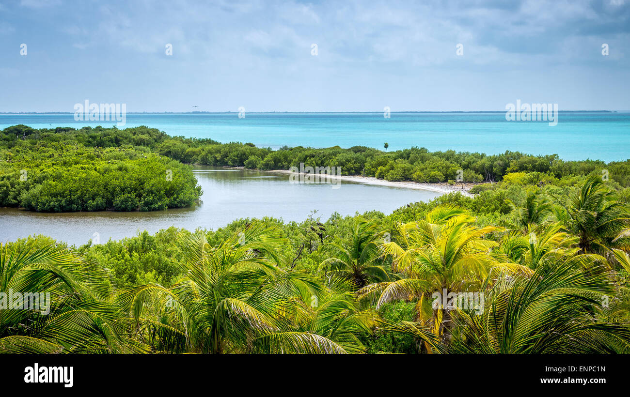 Aerial view of mexican Contoy tropical island Stock Photo - Alamy