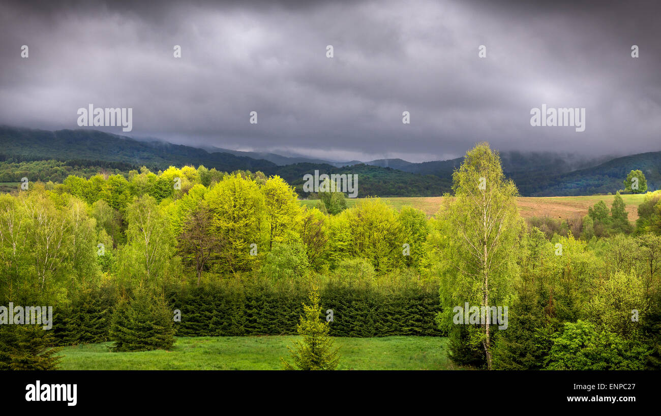 Rainy weather over forest in Bieszczady Mountains, Poland Stock Photo ...