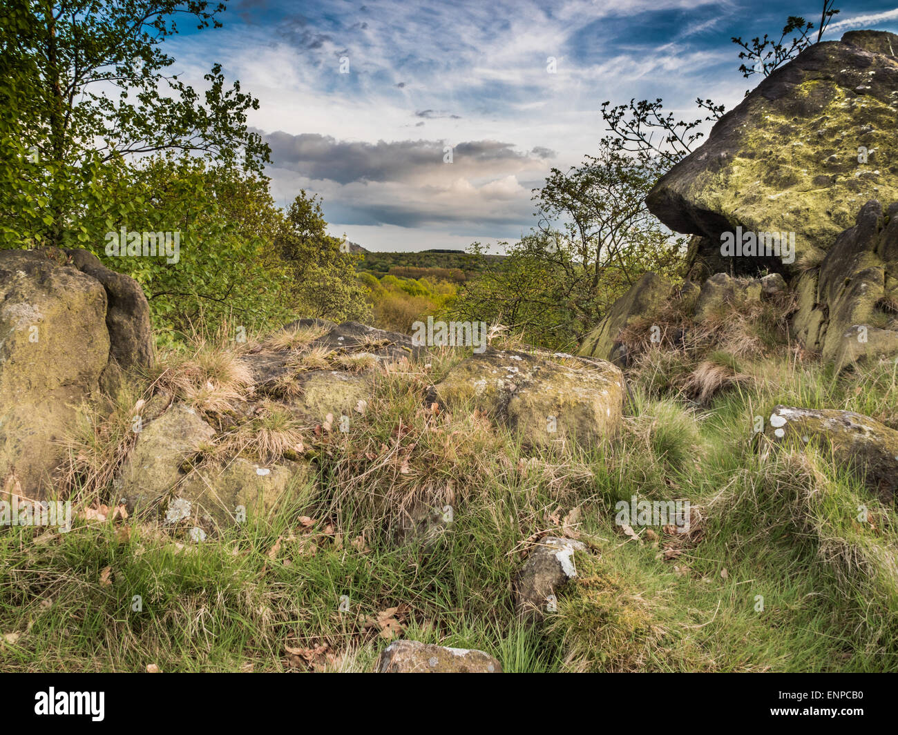 Beautiful British heathland & Jurassic rocks in the evening Stock Photo ...