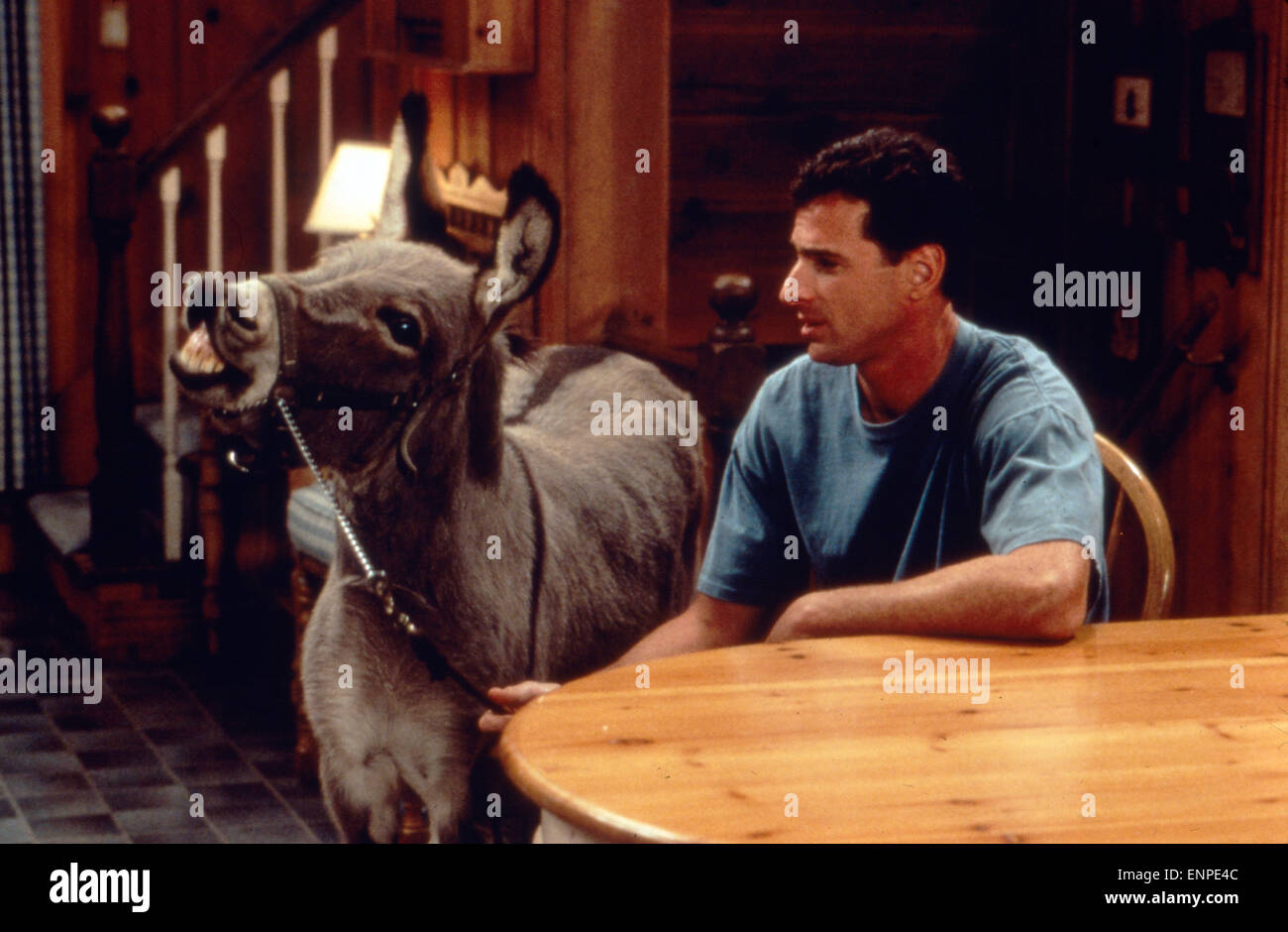 Full House, Sitcom, USA 1987 - 1995, Staffel 8, Episode 6: "You Pet It ...