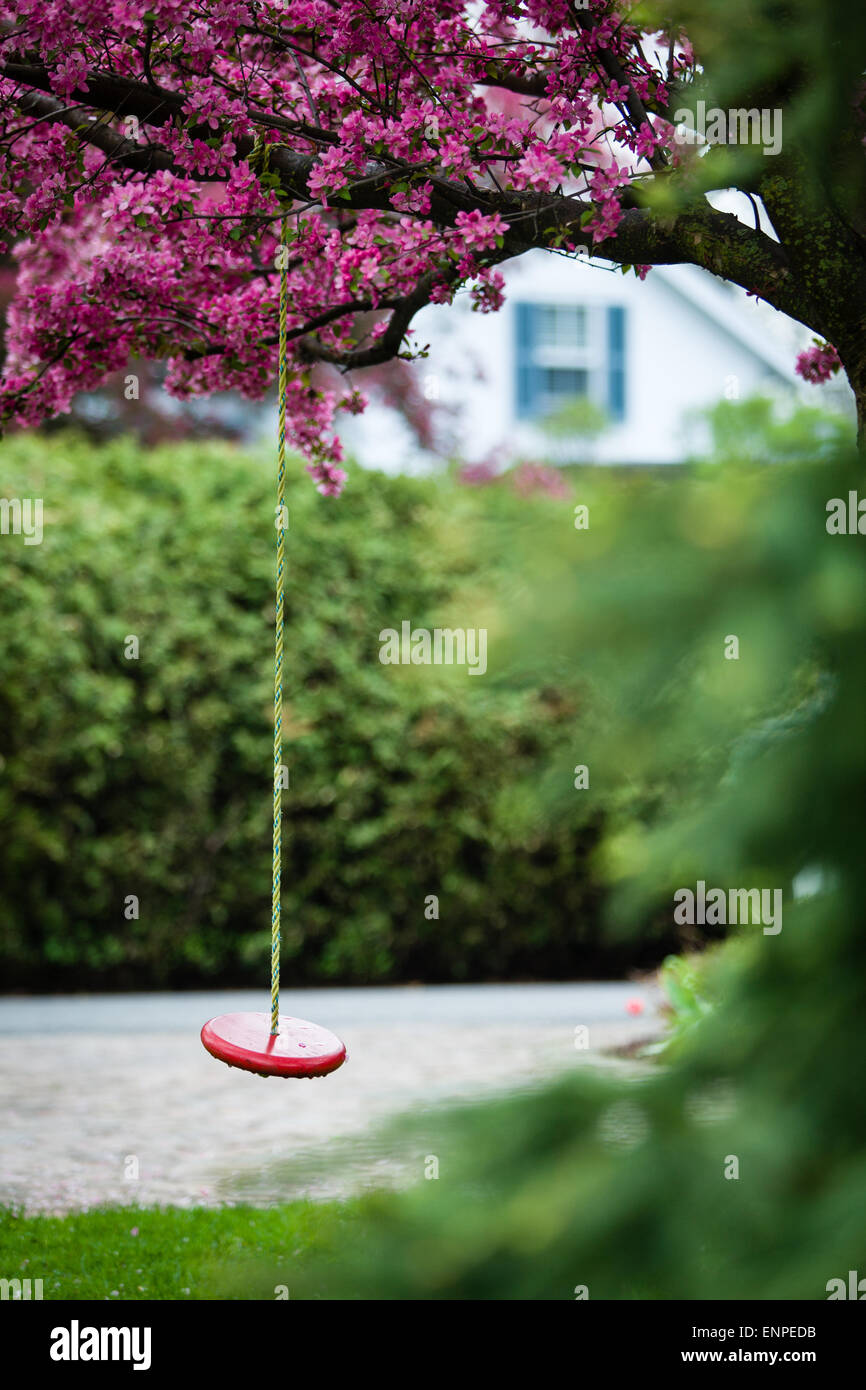 Rope swing hi-res stock photography and images - Alamy