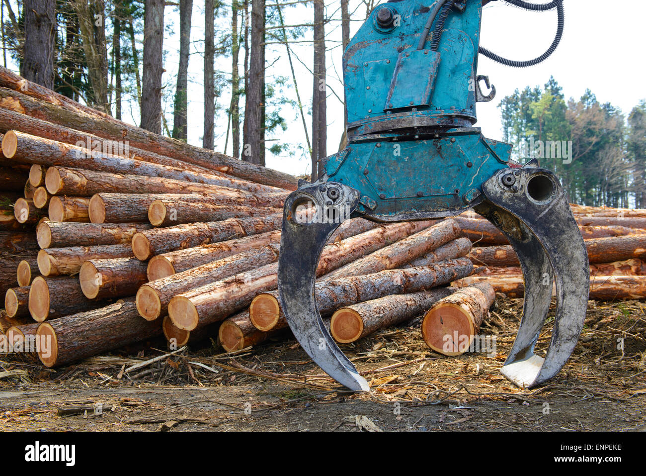 Timber crane hi-res stock photography and images - Alamy