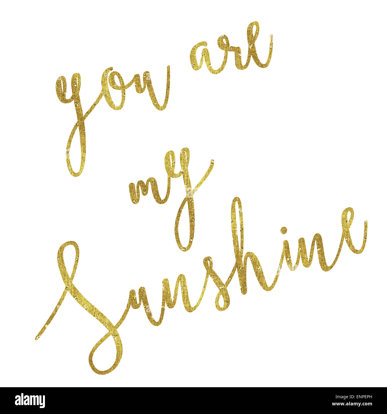 You Are My Sunshine Gold Faux Foil Metallic Glitter Inspirational Quote