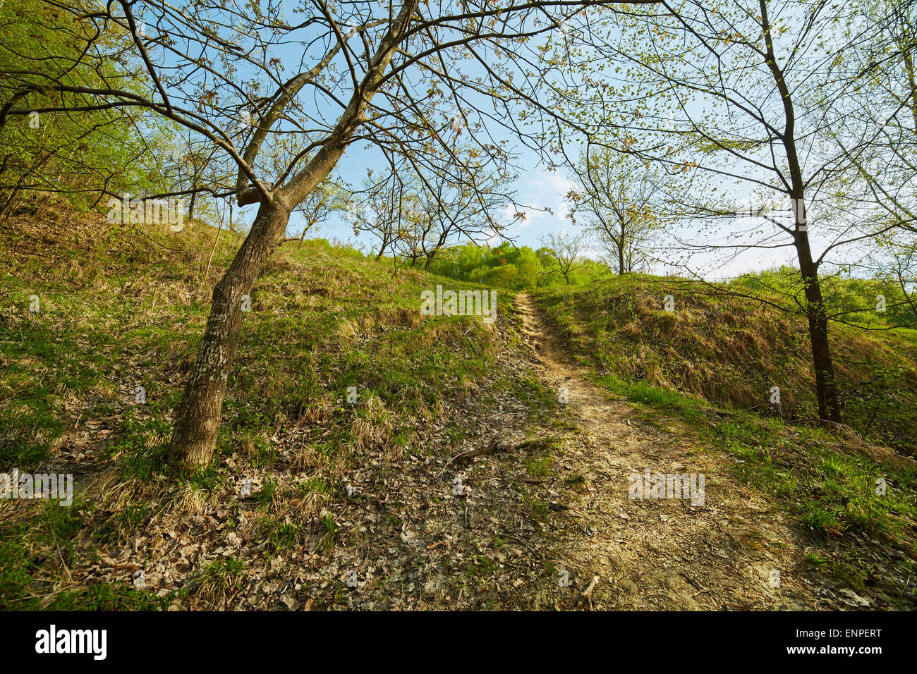 Landscape with hill climbing trail on springtime Stock Photo - Alamy