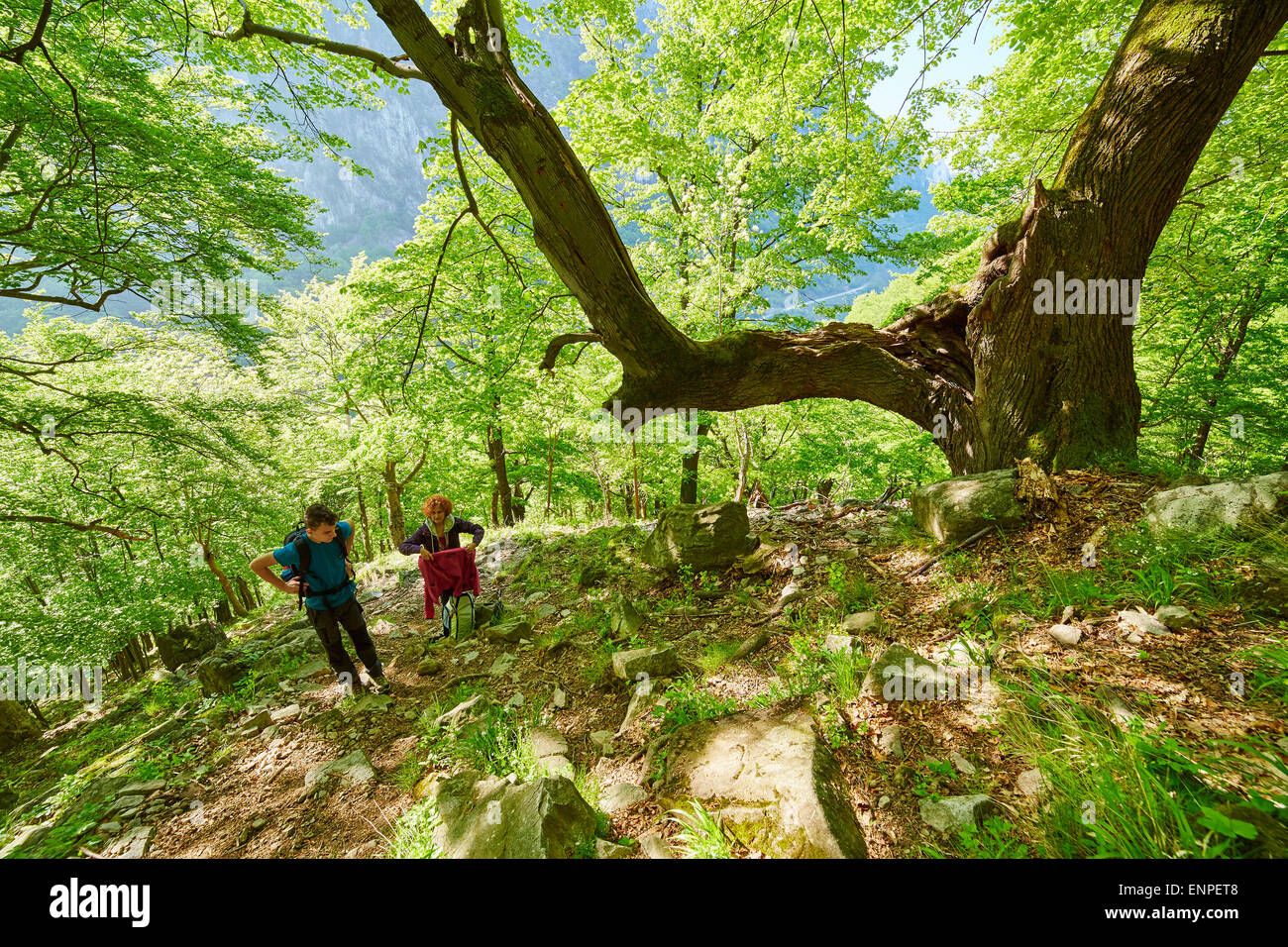 Family of hikers on a mountain trail in a sunny spring day Stock Photo ...