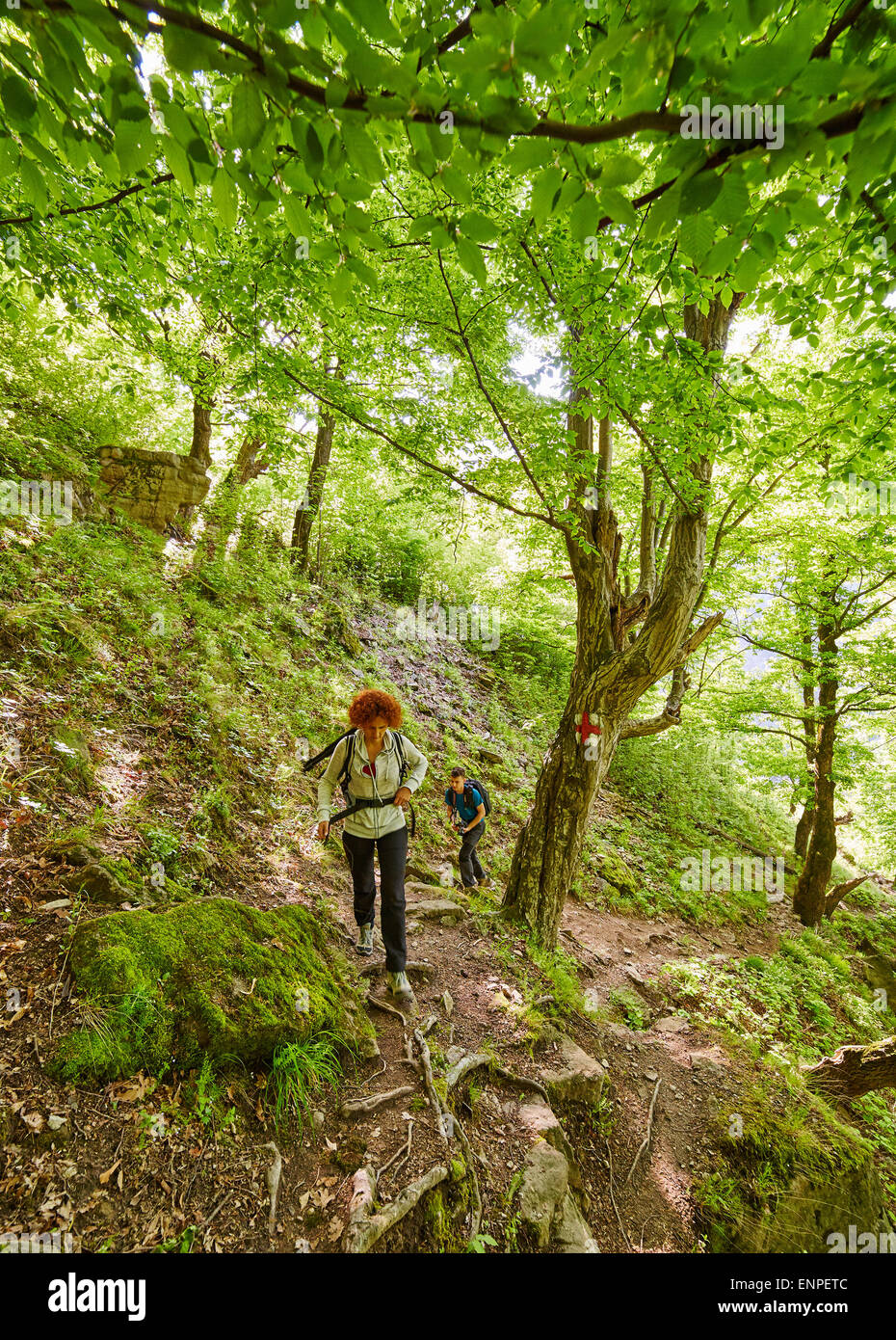 Family of hikers on a mountain trail in a sunny spring day Stock Photo ...
