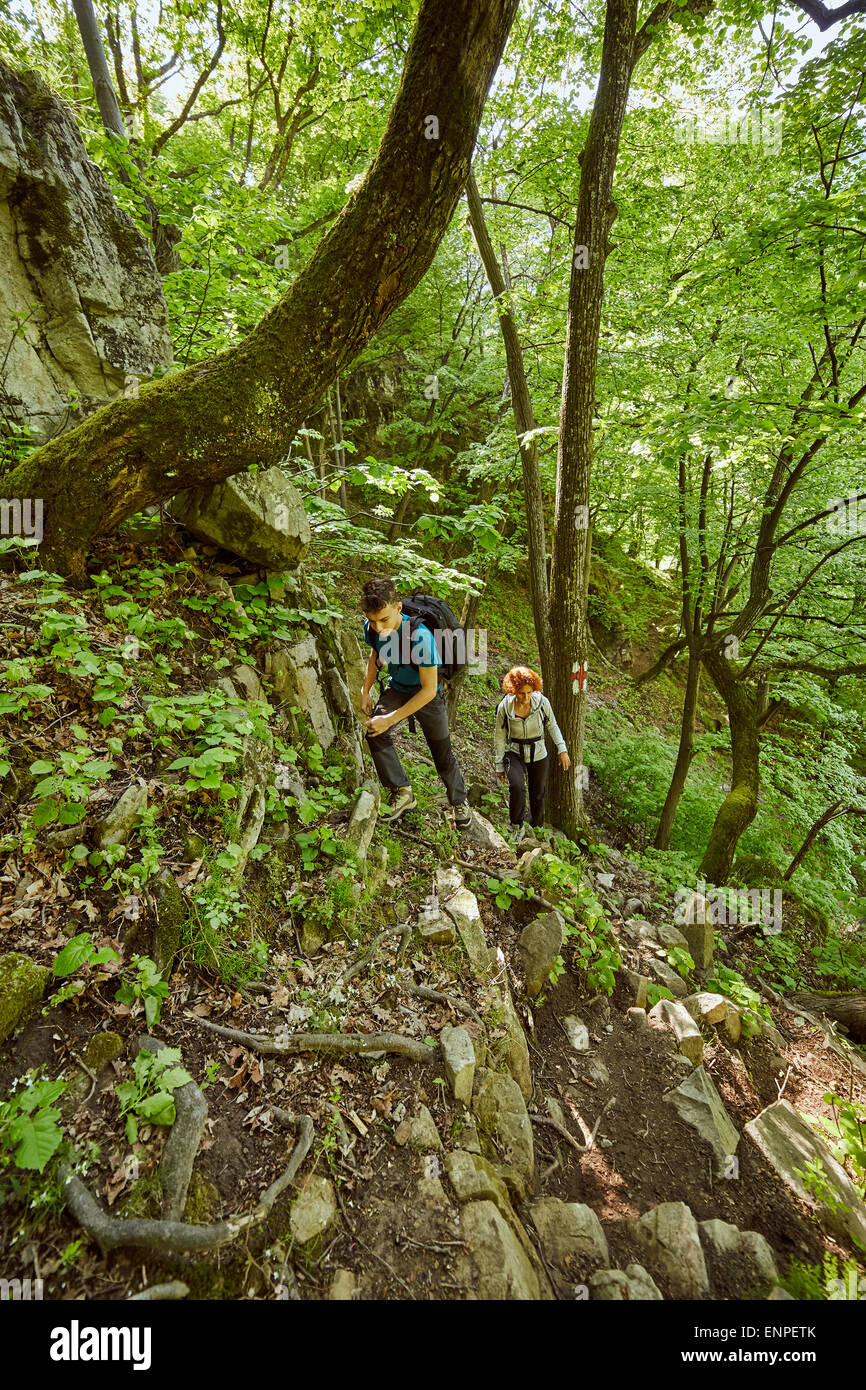 Family of hikers on a mountain trail in a sunny spring day Stock Photo ...