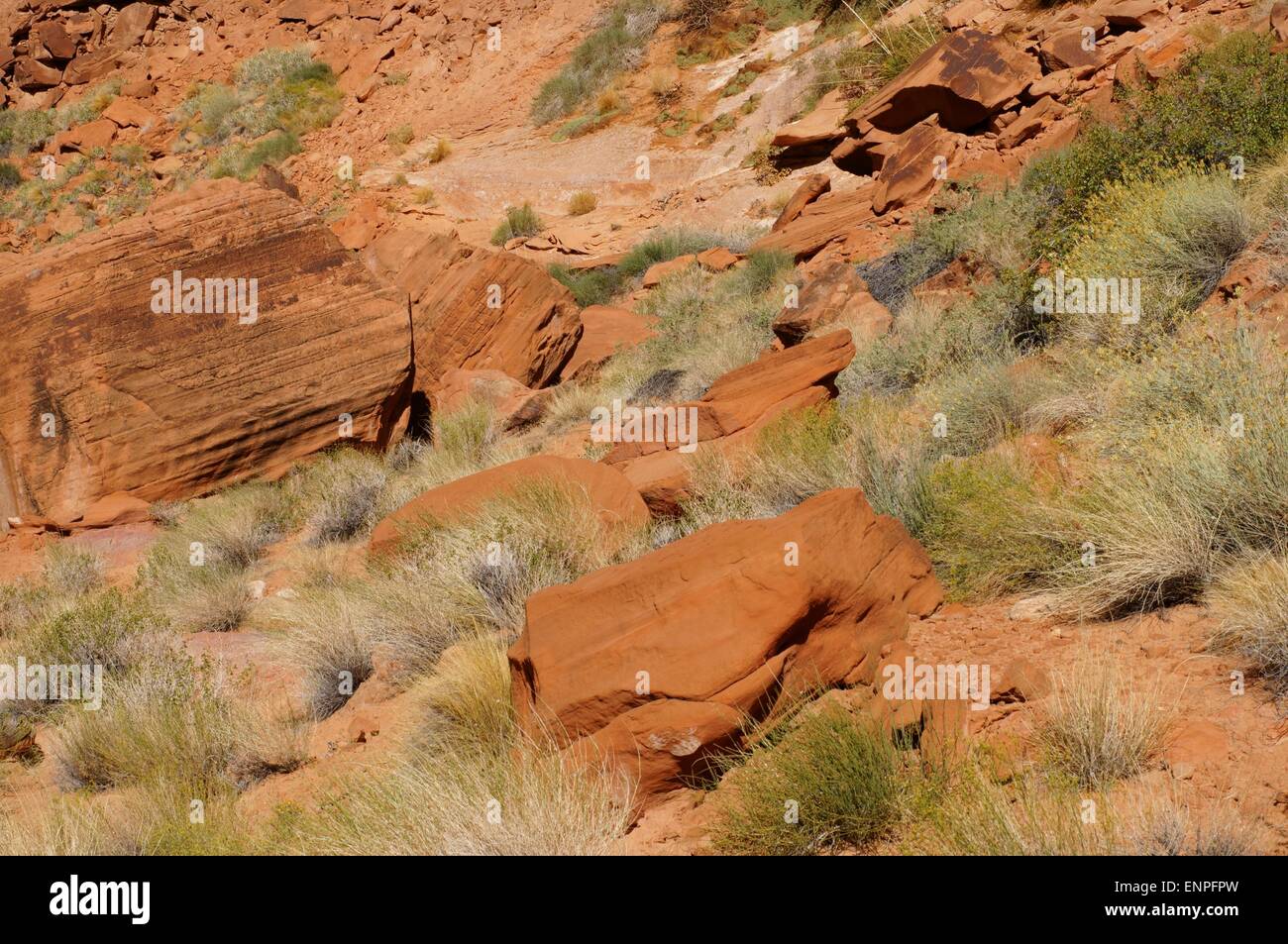 Desert grass on a red sandstone rocks background Stock Photo - Alamy
