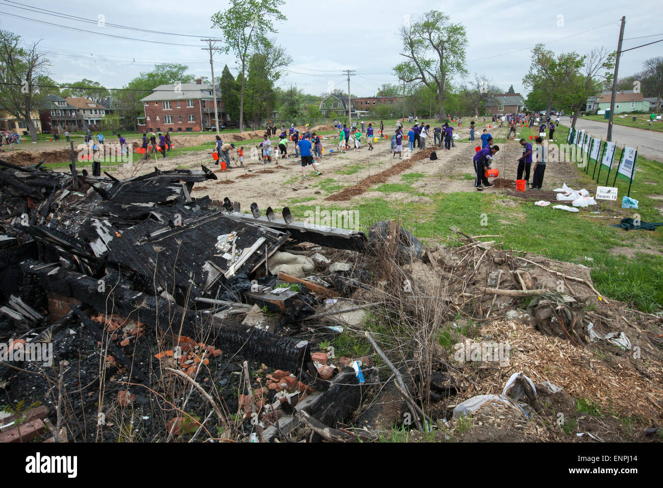 Volunteers planting a tree hi-res stock photography and images - Alamy