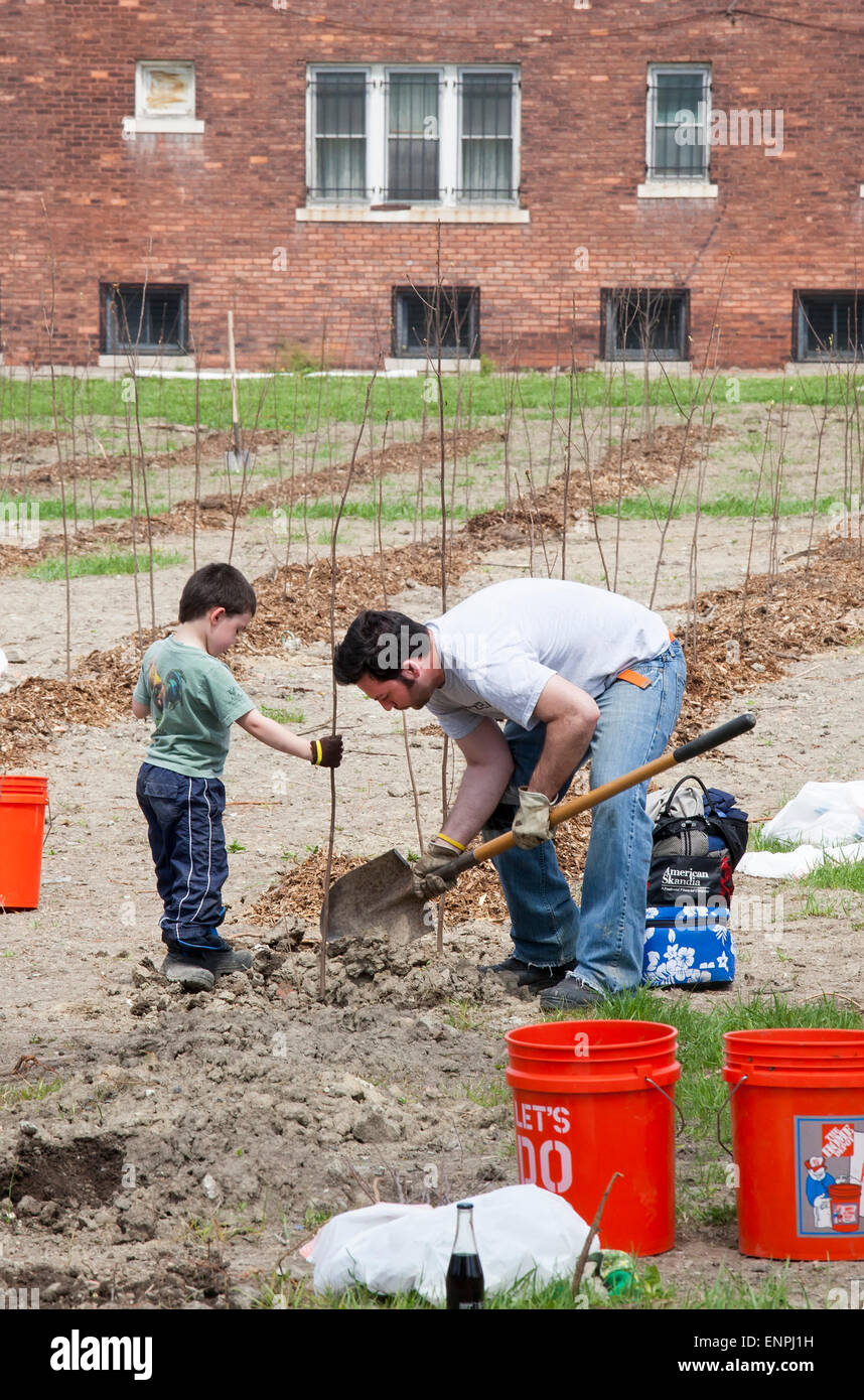 Detroit, Michigan USA - Volunteers plant 5,000 tulip poplar trees, part ...