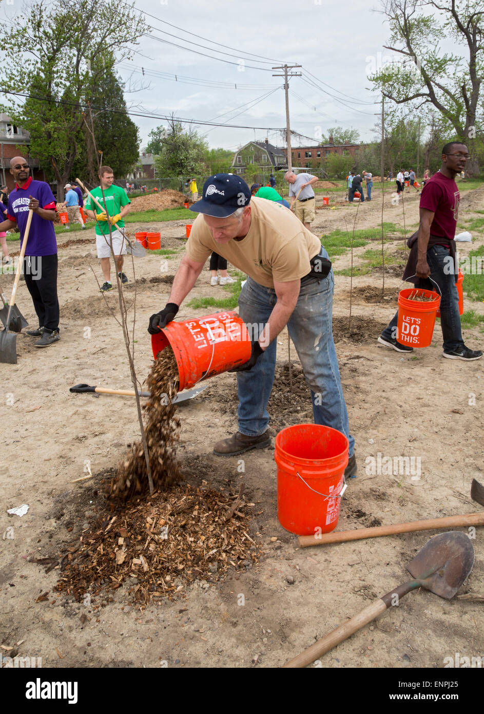 Detroit, Michigan USA - Volunteers plant 5,000 tulip poplar trees, part ...