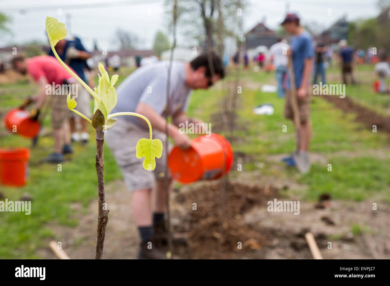 Planting detroit hi-res stock photography and images - Alamy