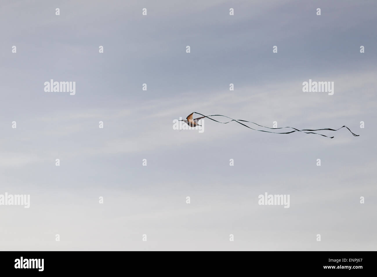 Kite flying against a blue sky. Modern kites use hi-tech materials and ...