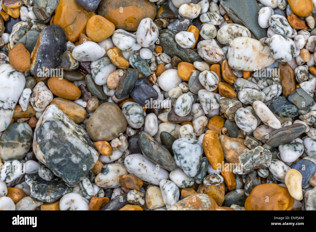Multi coloured pebbles on the beach Stock Photo - Alamy