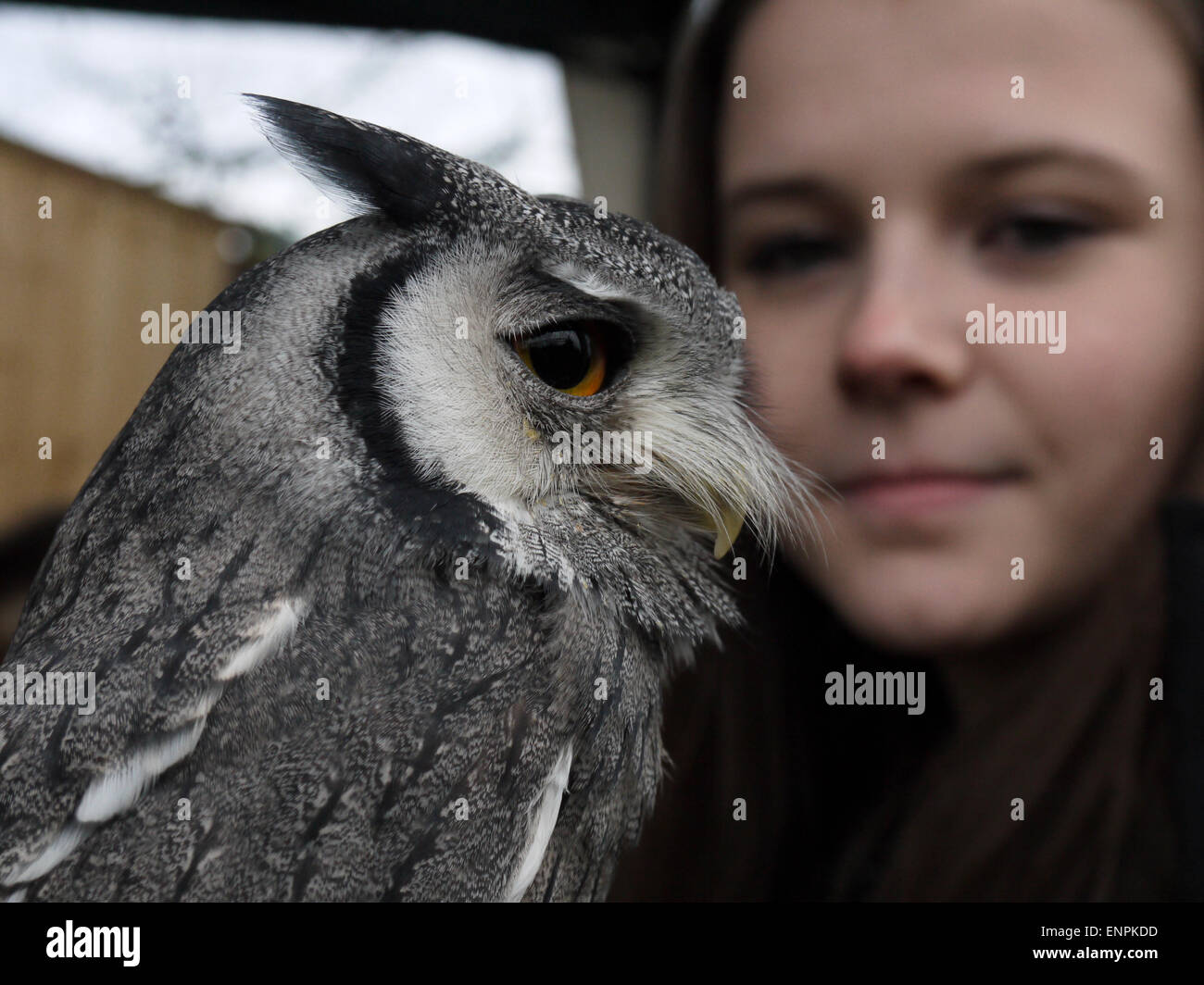 Girl bird hi-res stock photography and images - Alamy