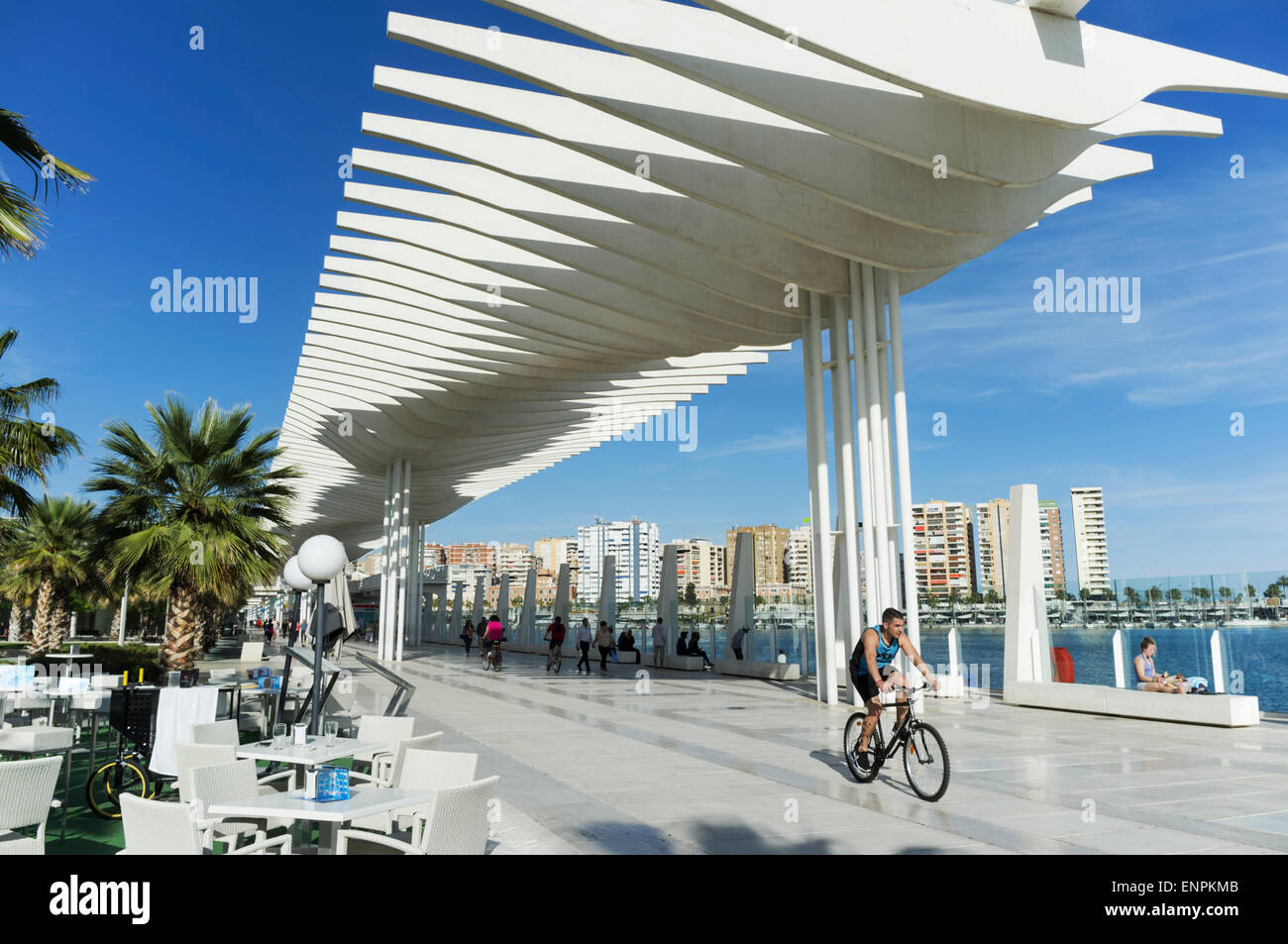 Port of Malaga. Palm of Surprises. Malaga, Andalusia, Spain Stock Photo ...
