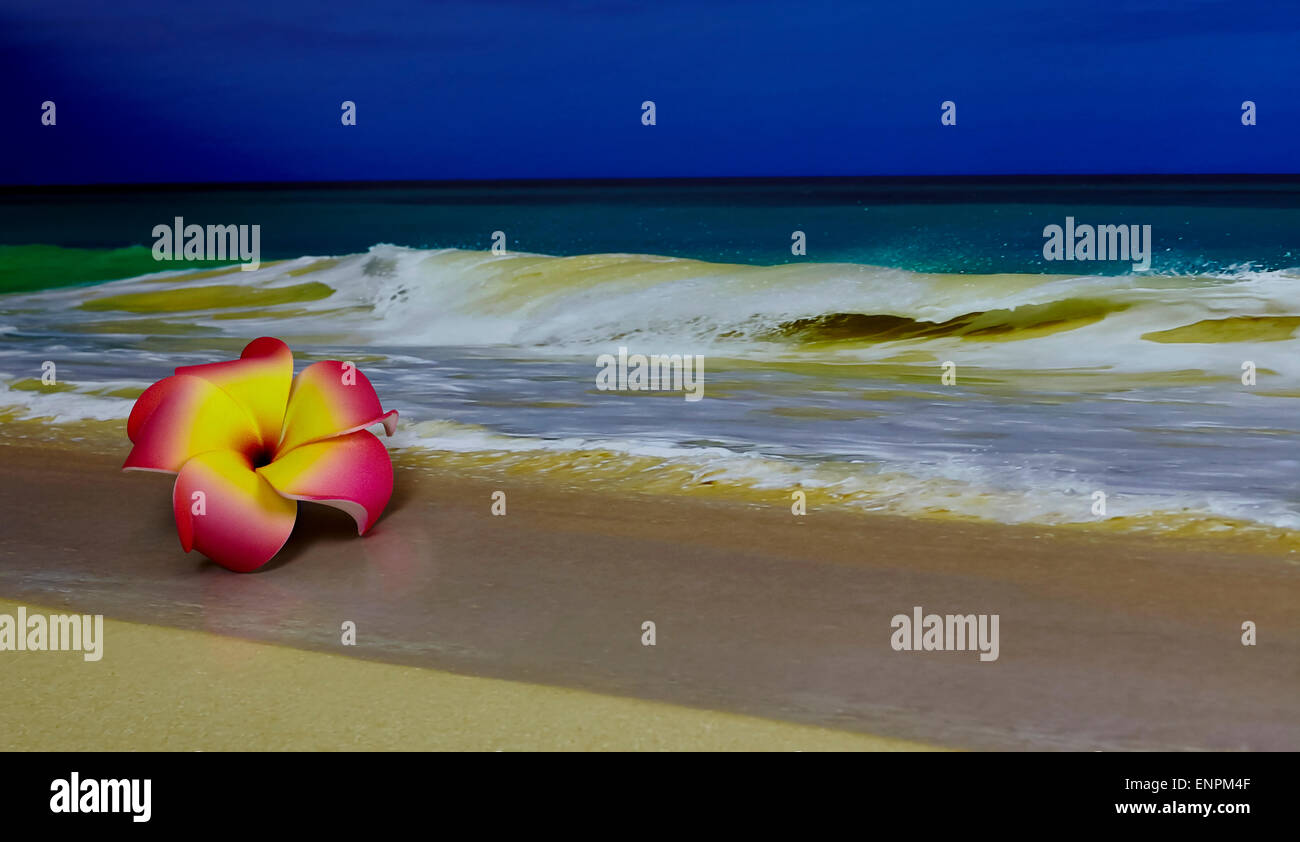 A pink and yellow Hawaiian Flower, Plumeria, laying on sand with waves ...