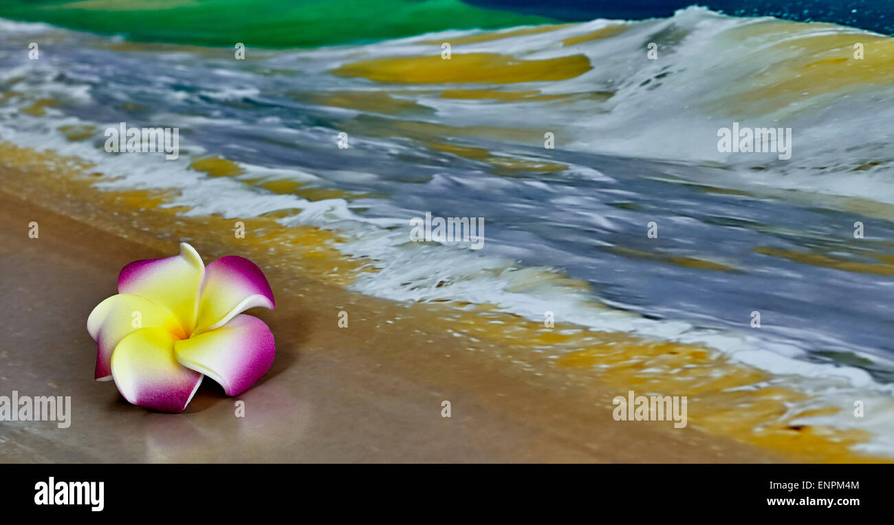 A pink and yellow Hawaiian Flower, Plumeria, laying on sand with waves ...