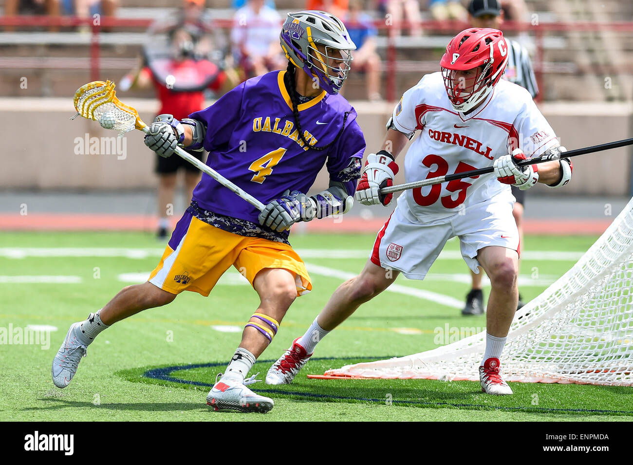 Ithaca, New York, USA. 9th May, 2015. Albany Great Danes attackman Lyle ...