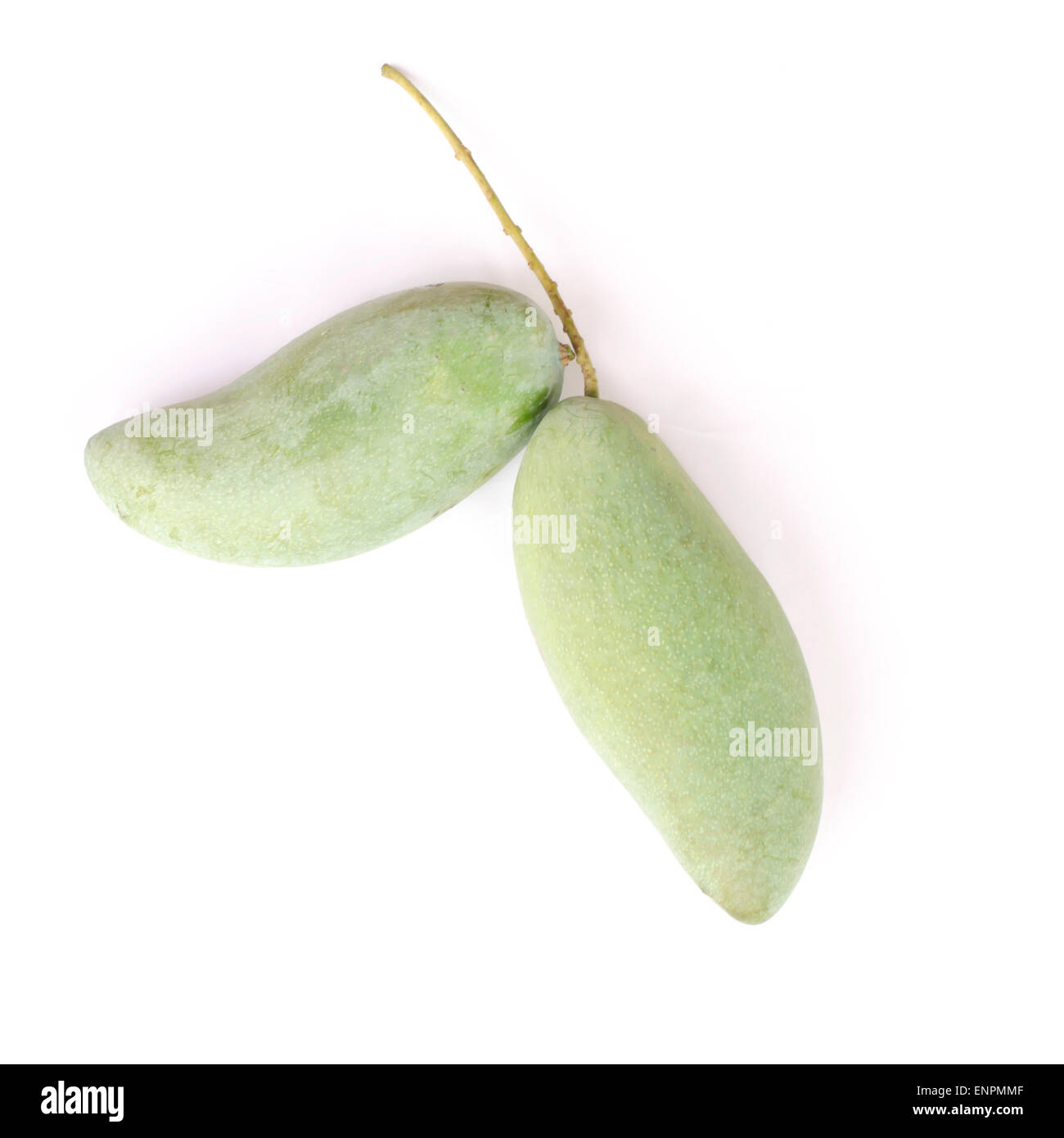 two mangos isolated on white background Stock Photo - Alamy