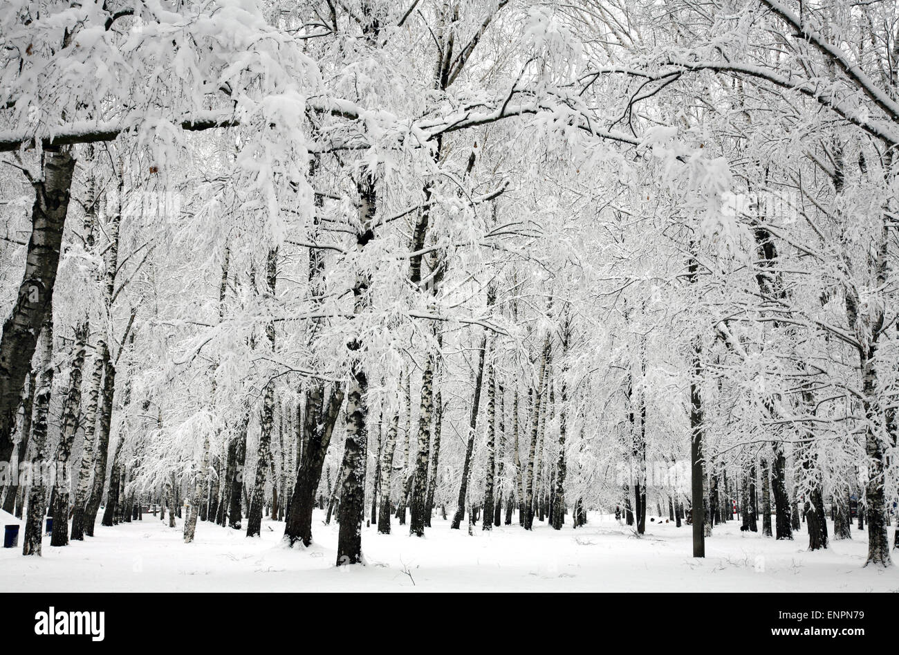 April trees hi-res stock photography and images - Alamy
