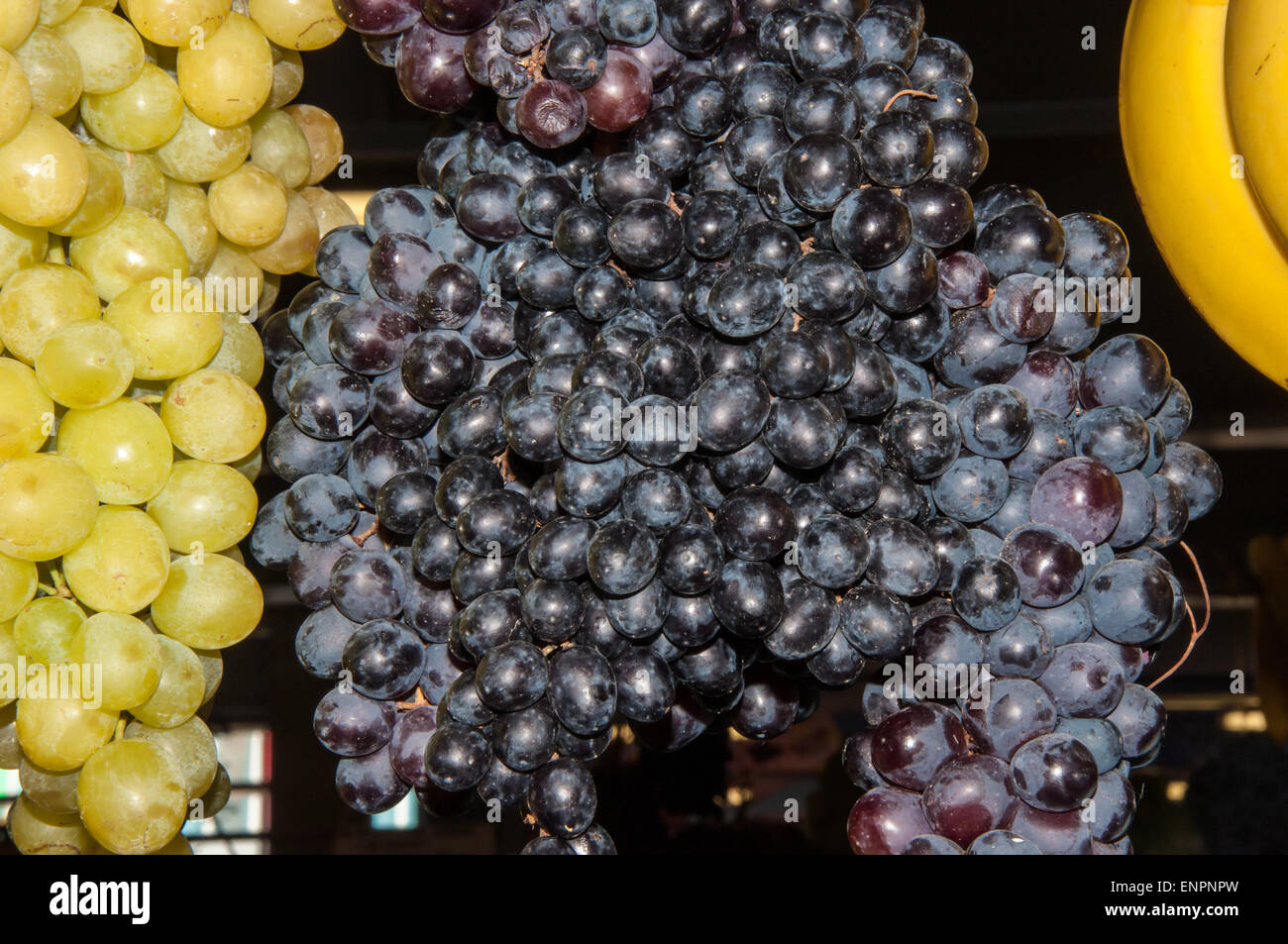 Grapes are a genus of plants in the family Vitaceae, as well as the ...
