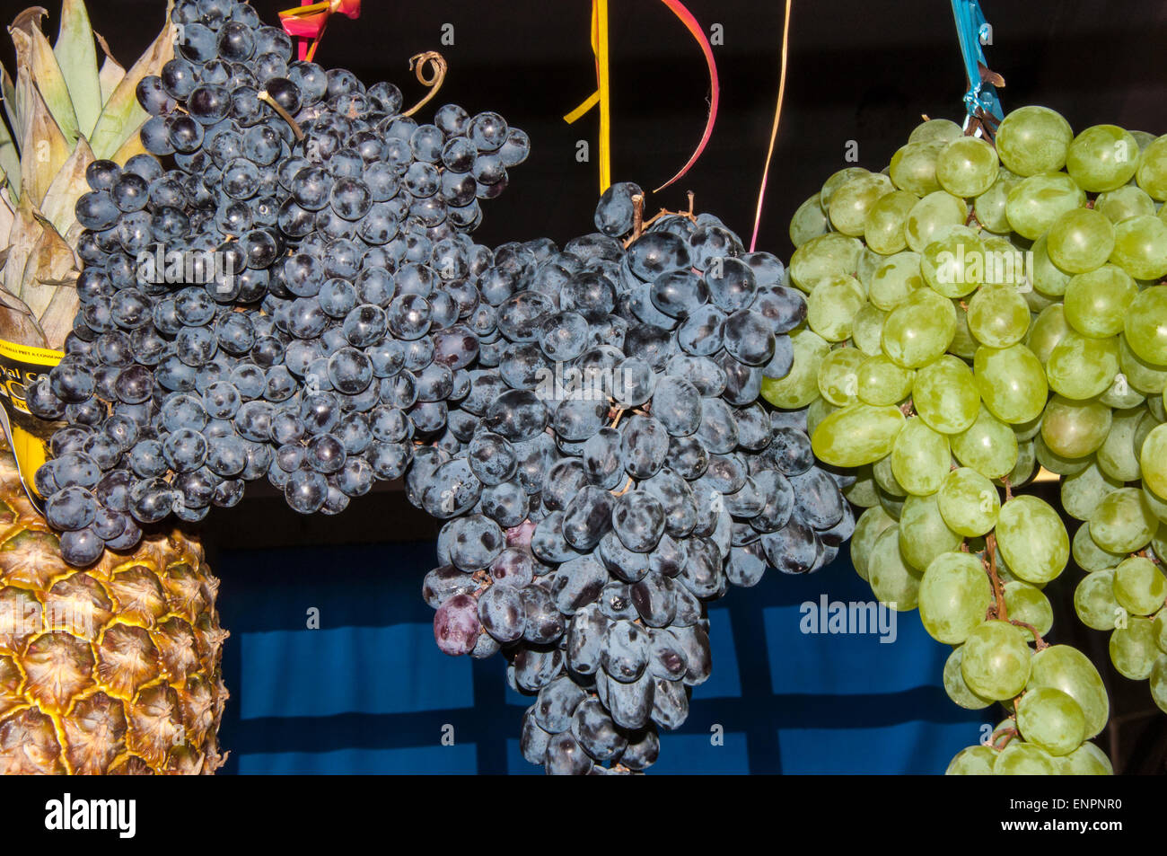 Grapes are a genus of plants in the family Vitaceae, as well as the ...