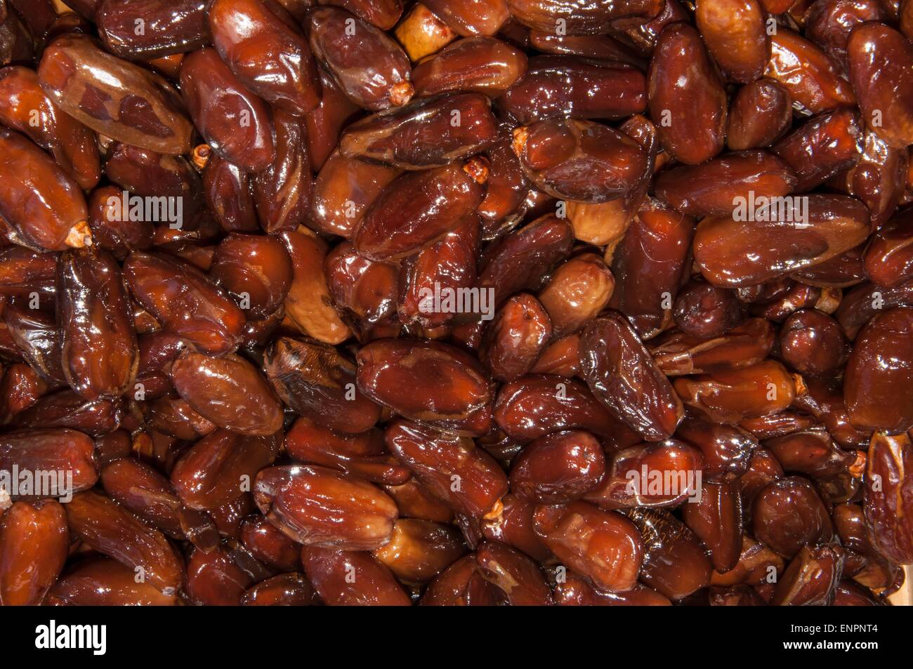Dates the edible fruit of the date palm, especially species of Phoenix ...