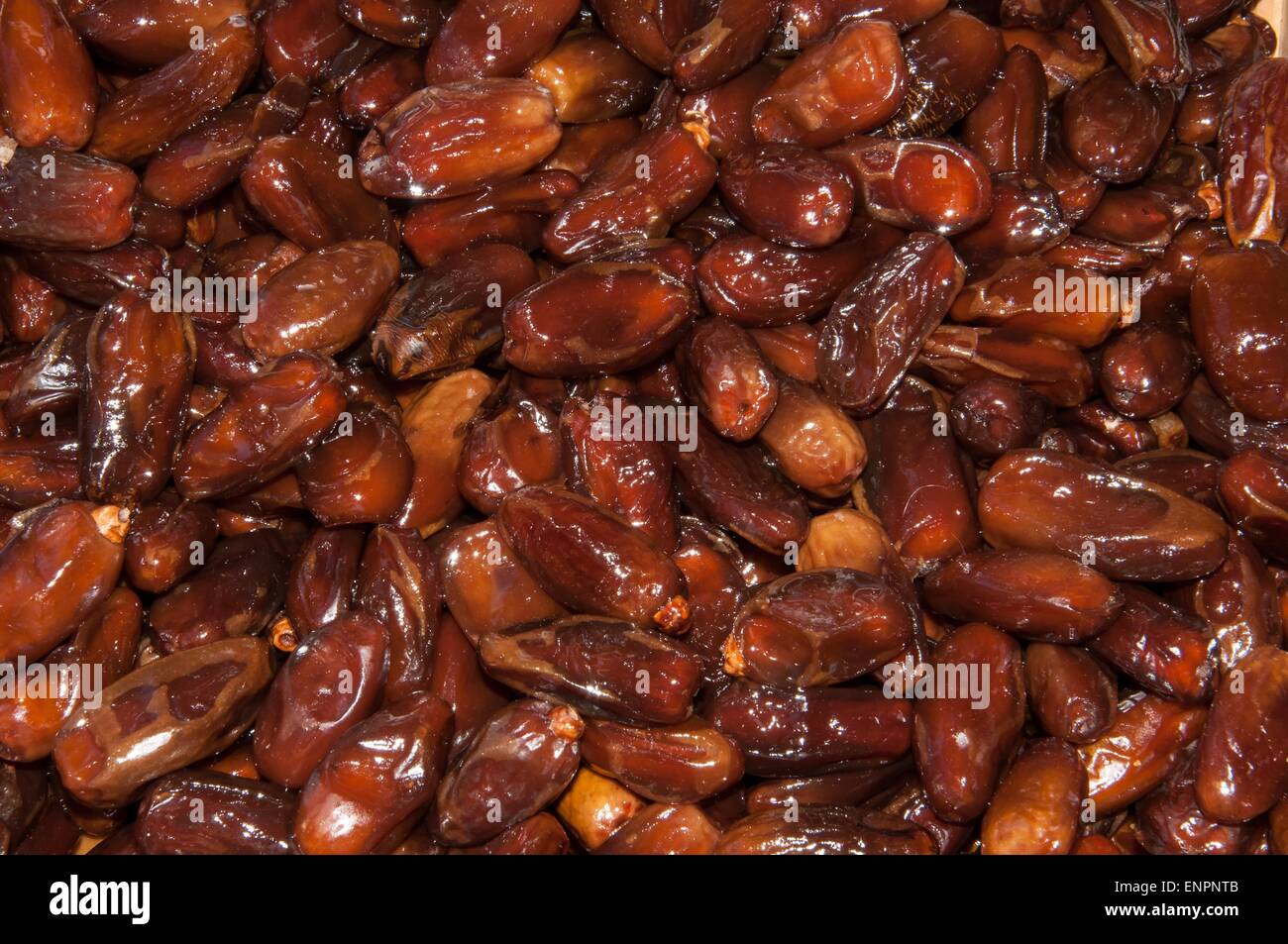 Dates the edible fruit of the date palm, especially species of Phoenix ...
